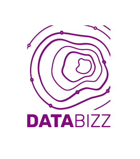 Databizz